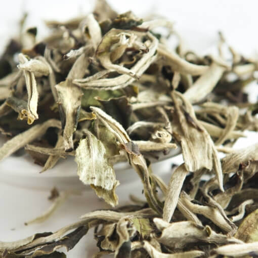 Jing Gu Bai Mu Dan | Amour Des Thés